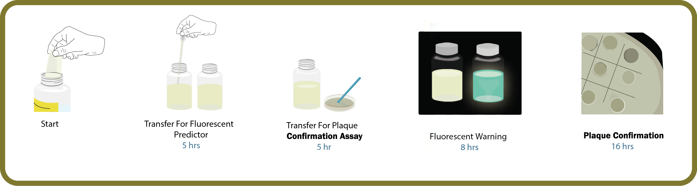 Charm Fast Phage Test